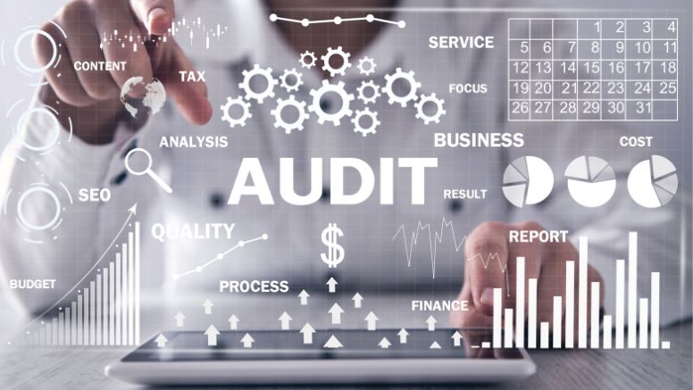 Integrated Audits in the Digital Era Explained